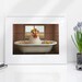 Farm Animals Soaking in the Tub | 3 Pack | Cow | Chicken | Pig | Floral ...