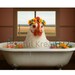 Farm Animals Soaking in the Tub | 3 Pack | Cow | Chicken | Pig | Floral ...