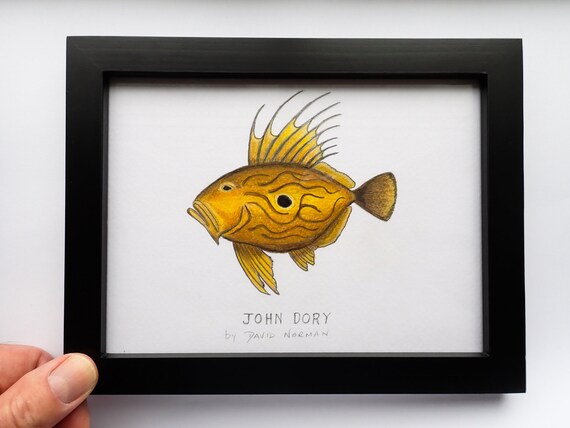 John Dory Exclusive Original Drawing | Etsy