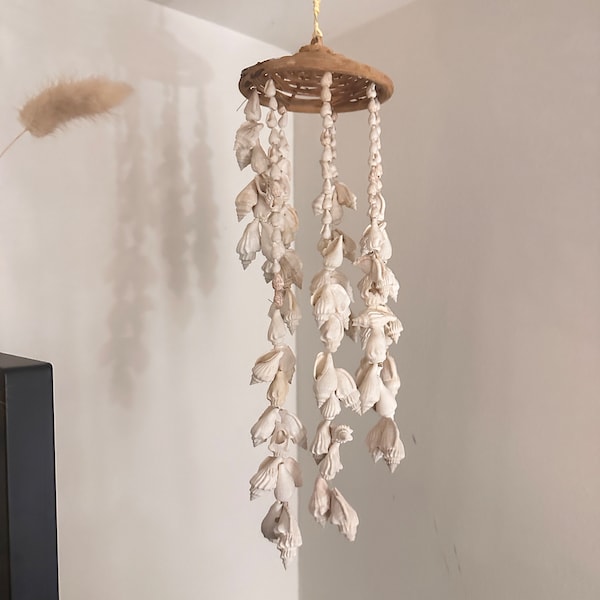 Seashell Chandelier - Etsy