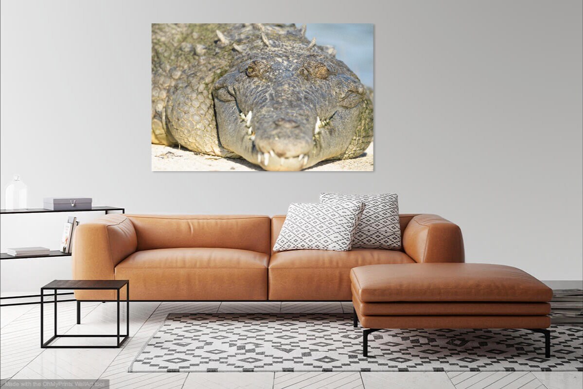 American Crocodile Fine Art Print | Wildlife Photography | Crocodile ...