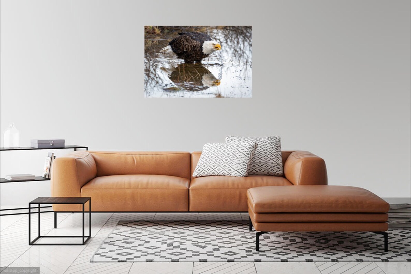 Bald Eagle Fine Art Print | Wildlife Photography | Eagle Print | Bird ...