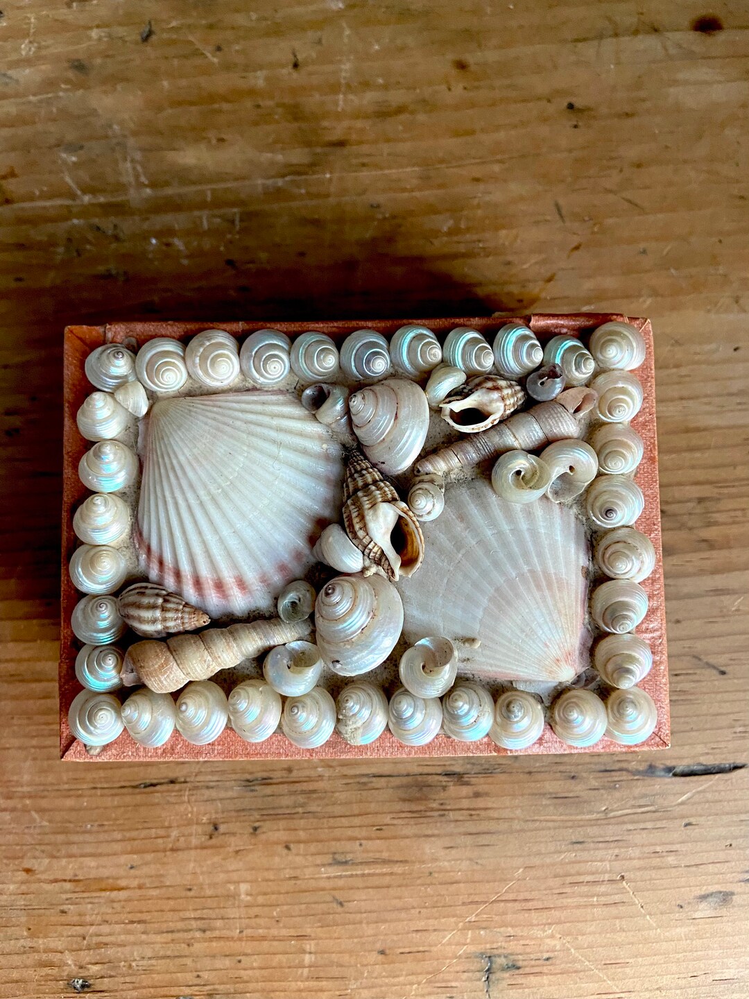 Vintage Shell Souvenir Box - Etsy