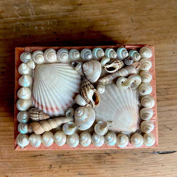 Shell Souvenirs - Etsy