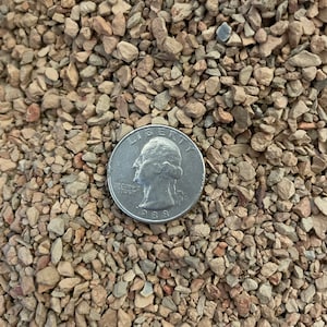 Horticultural Turface MVP - 12 Dry Quarts - Cactus Succulent Bonsai ...