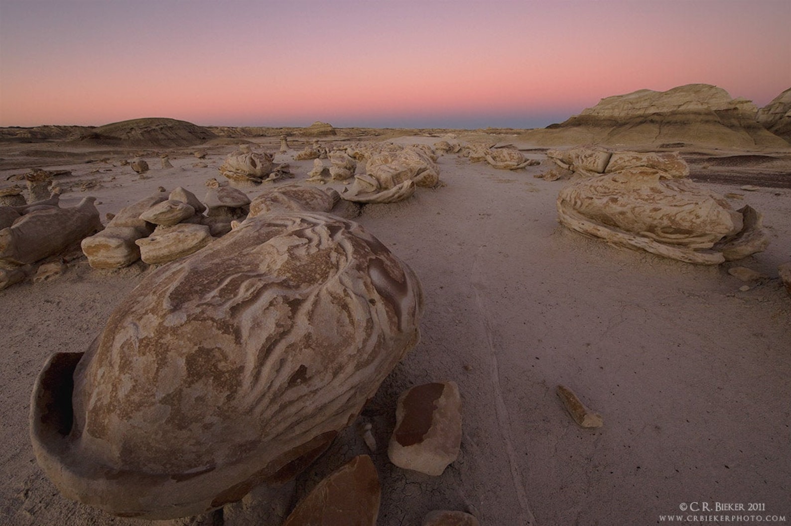 Foreign Landscape - Etsy