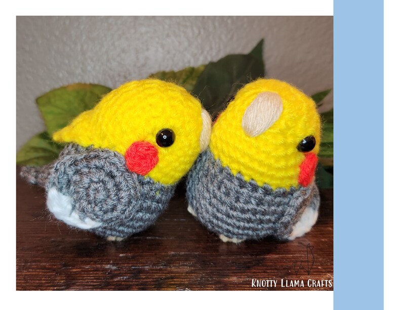 Cockatiel Coco Crochet Pattern - Etsy