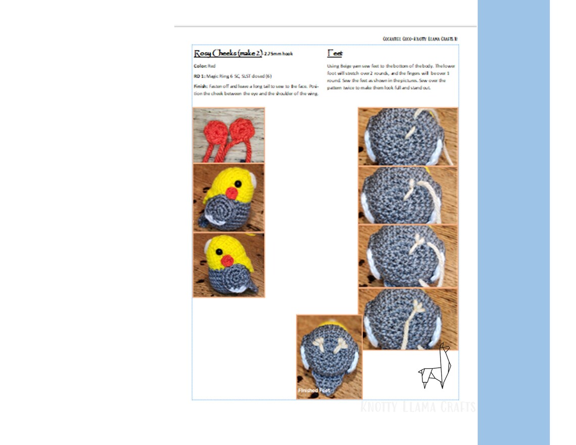 Parrotlet Pete Crochet Pattern - Etsy