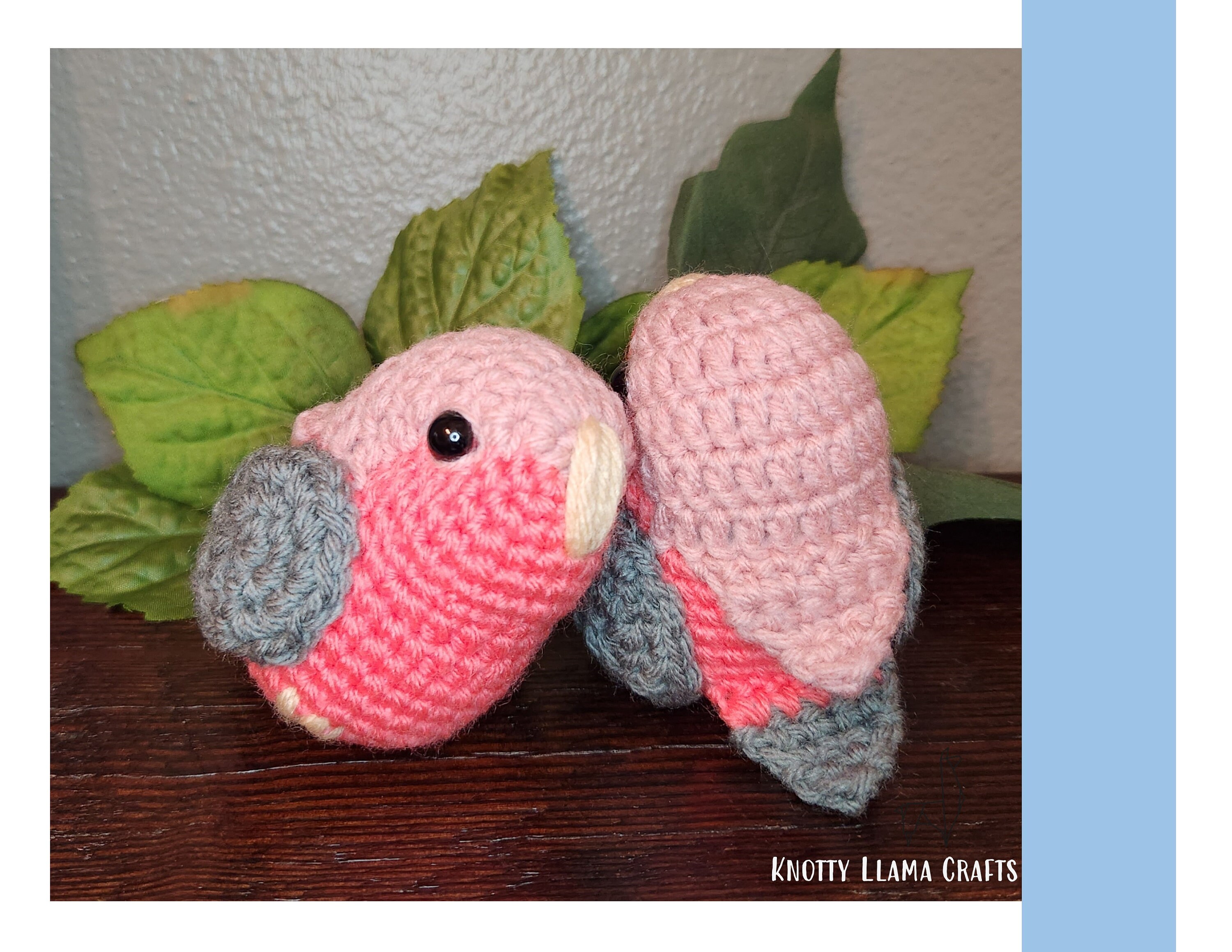 Lady Galah Crochet Pattern - Etsy
