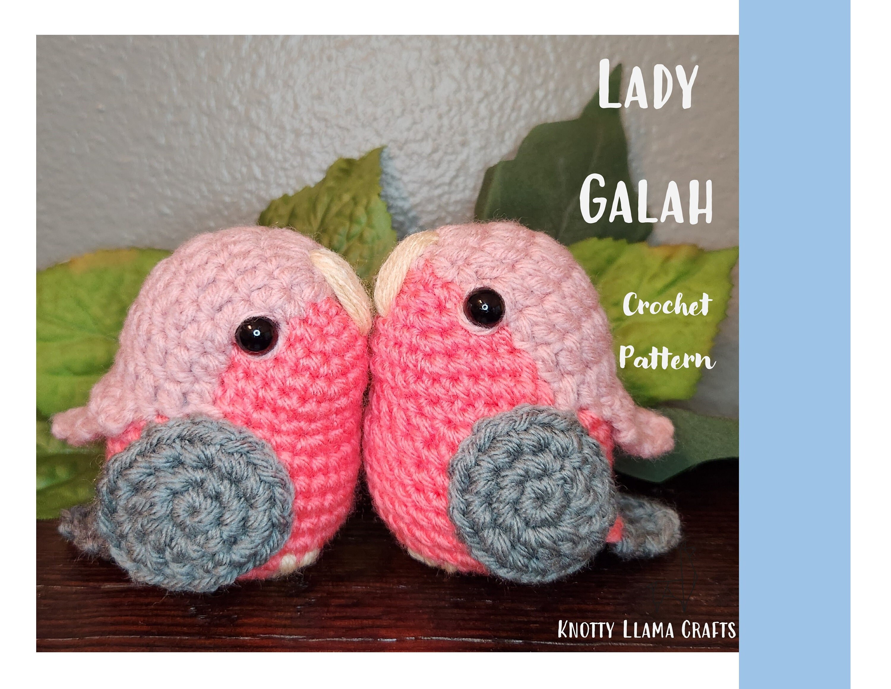 Lady Galah Crochet Pattern - Etsy