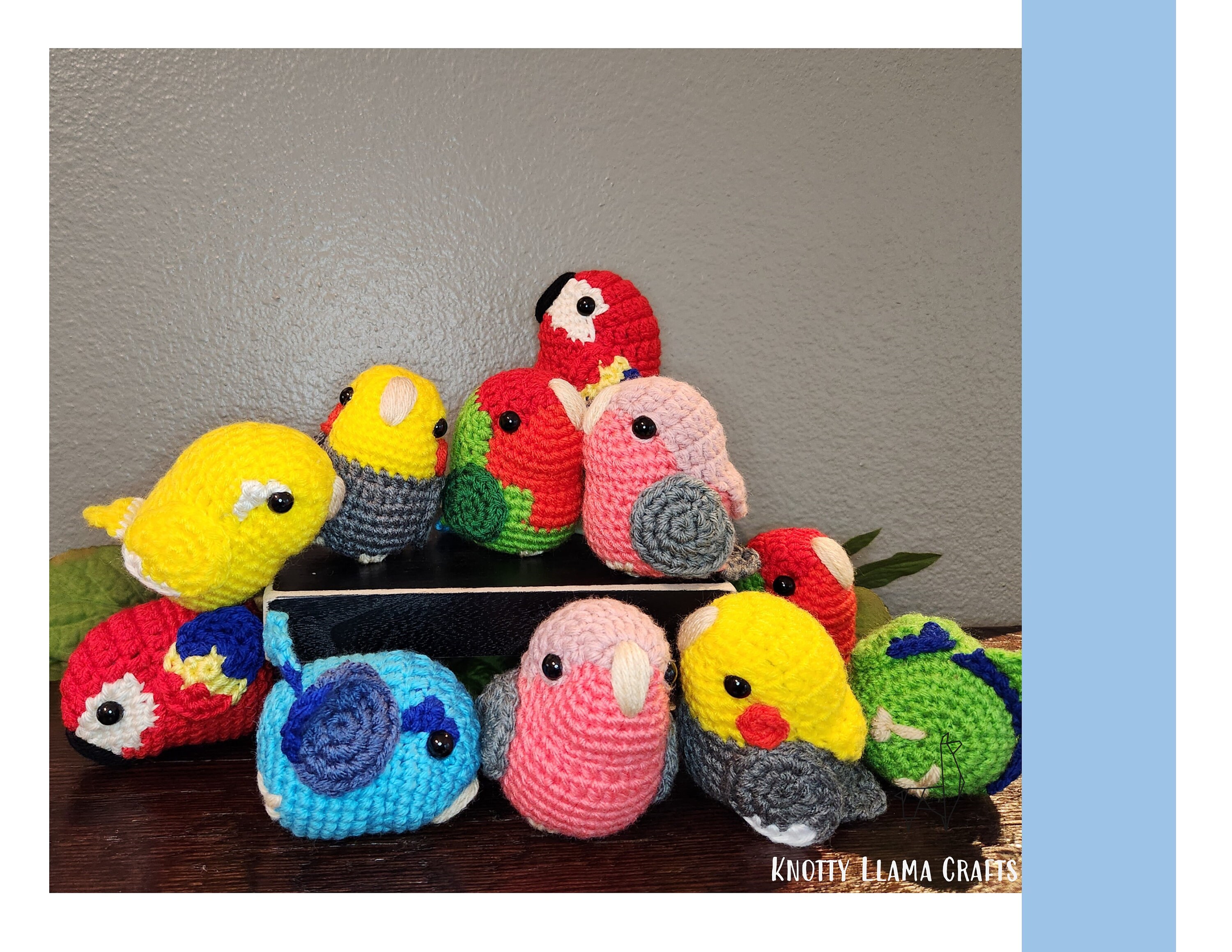 Parrotlet Pete Crochet Pattern - Etsy