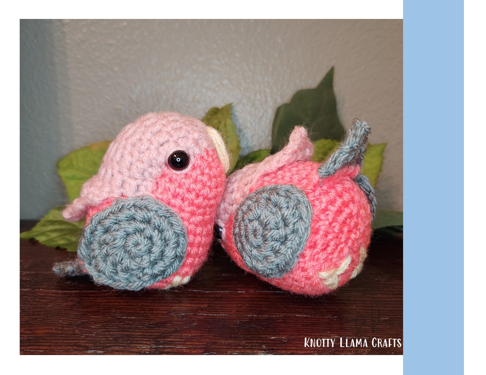 Lady Galah Crochet Pattern - Etsy