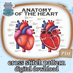 Anatomical Heart Cross Stitch Pattern: Science Embroidery (digital ...