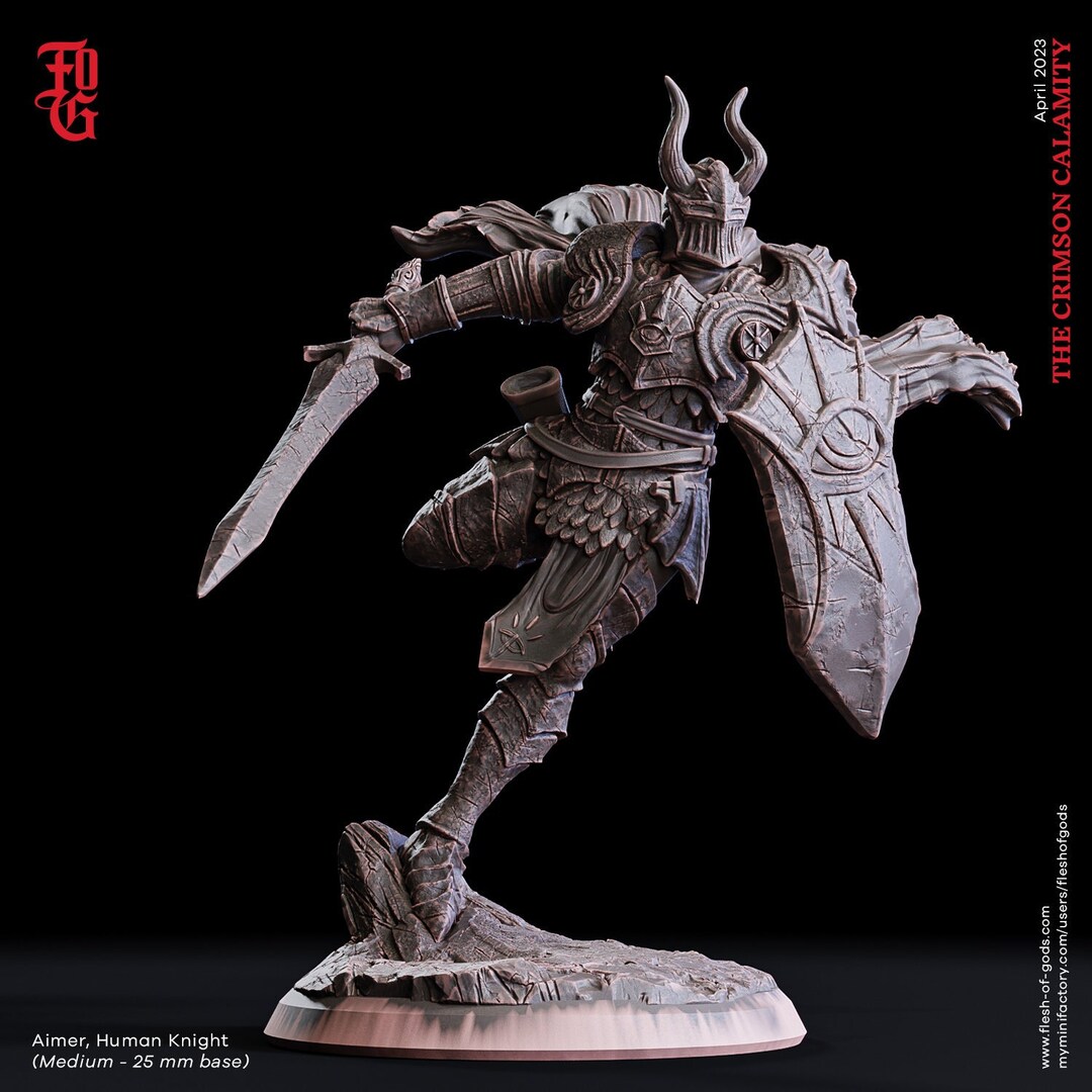 Aimer Human Knight - Flesh of Gods - Etsy