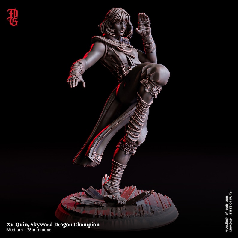 Xu Quin, Skyward Dragon Champion - Flesh of Gods - Etsy