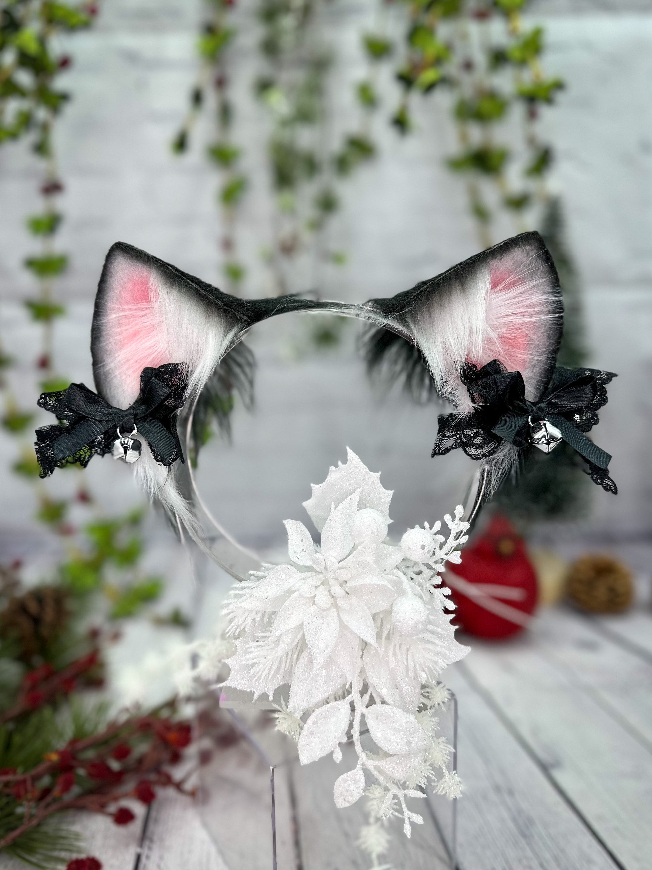 White Cat With Black Tail And Ears