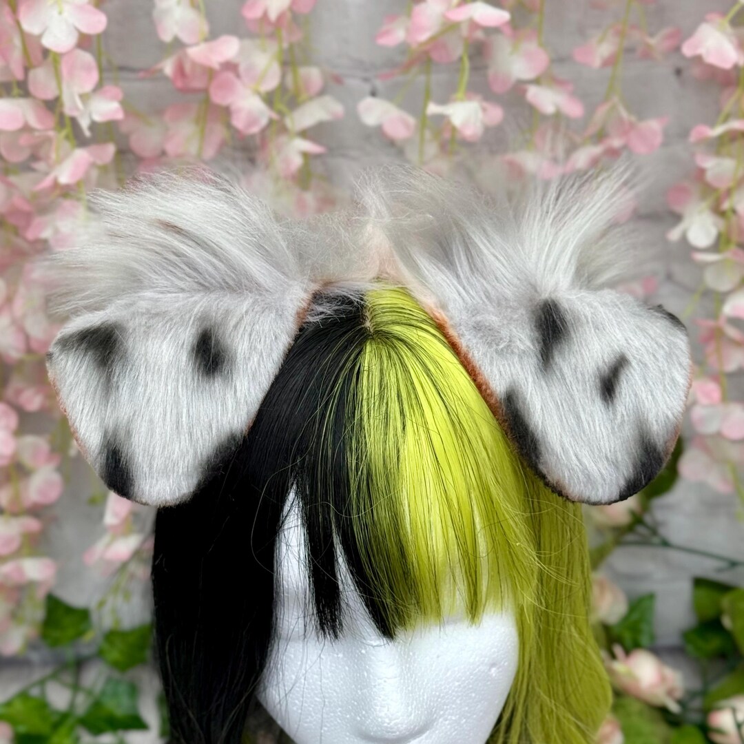 Floppy Australian Shepherd Puppy Ears Gray and Black Puppy Ears and ...