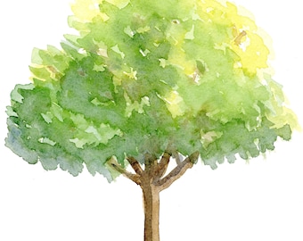 10 TREE OF WISDOM Cliparts, Png Tree Image, Watercolor Digital Tree ...