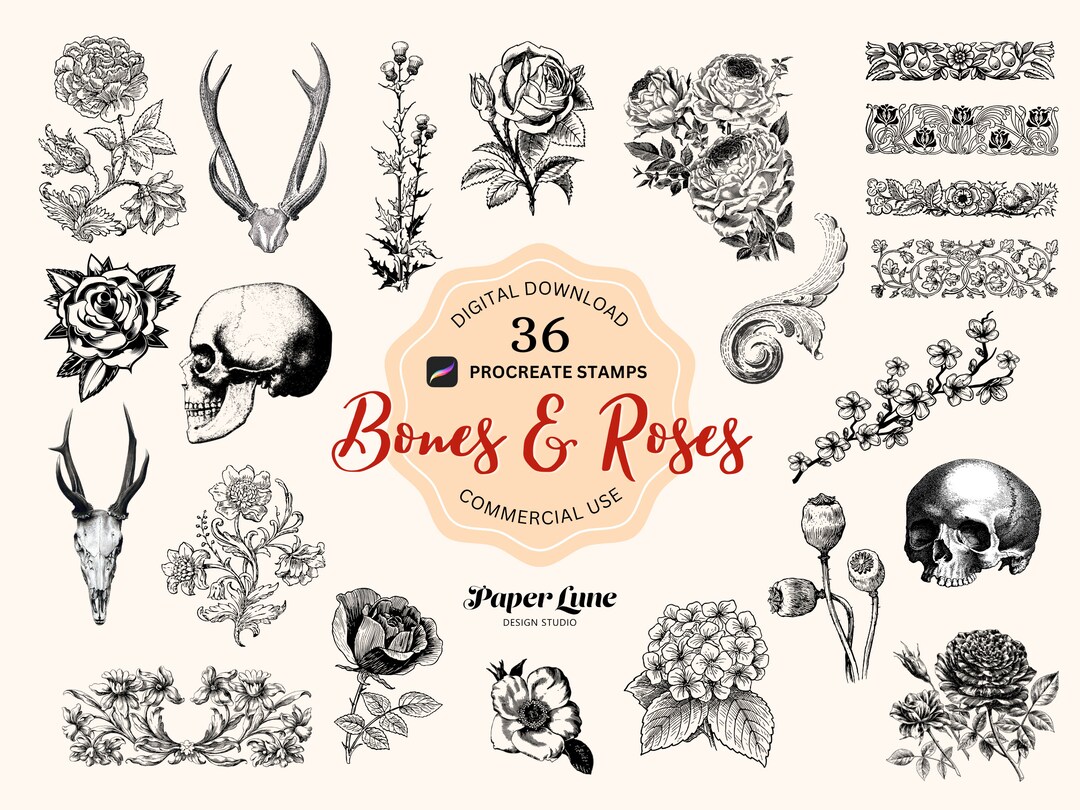 Digital Download 36 BONES & ROSES Procreate Stamps 05PS Stamp Brushes ...