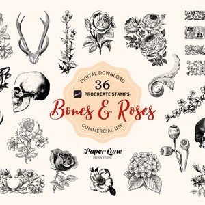 Digital Download 36 BONES & ROSES Procreate Stamps 05PS Stamp Brushes ...