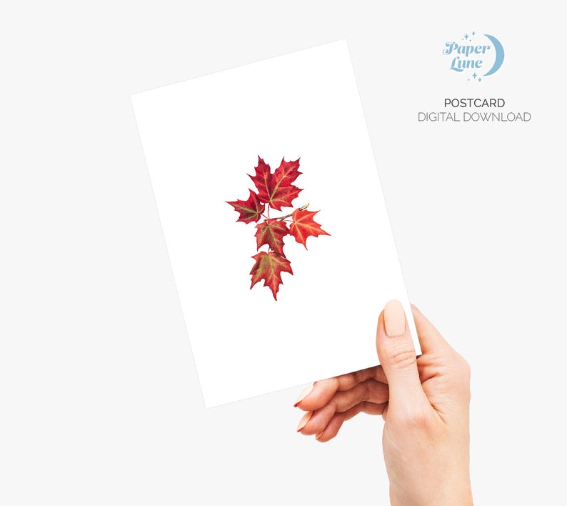 Printable Postcard Set of 10 Mini Print 4X6'' Digital Download Fall ...