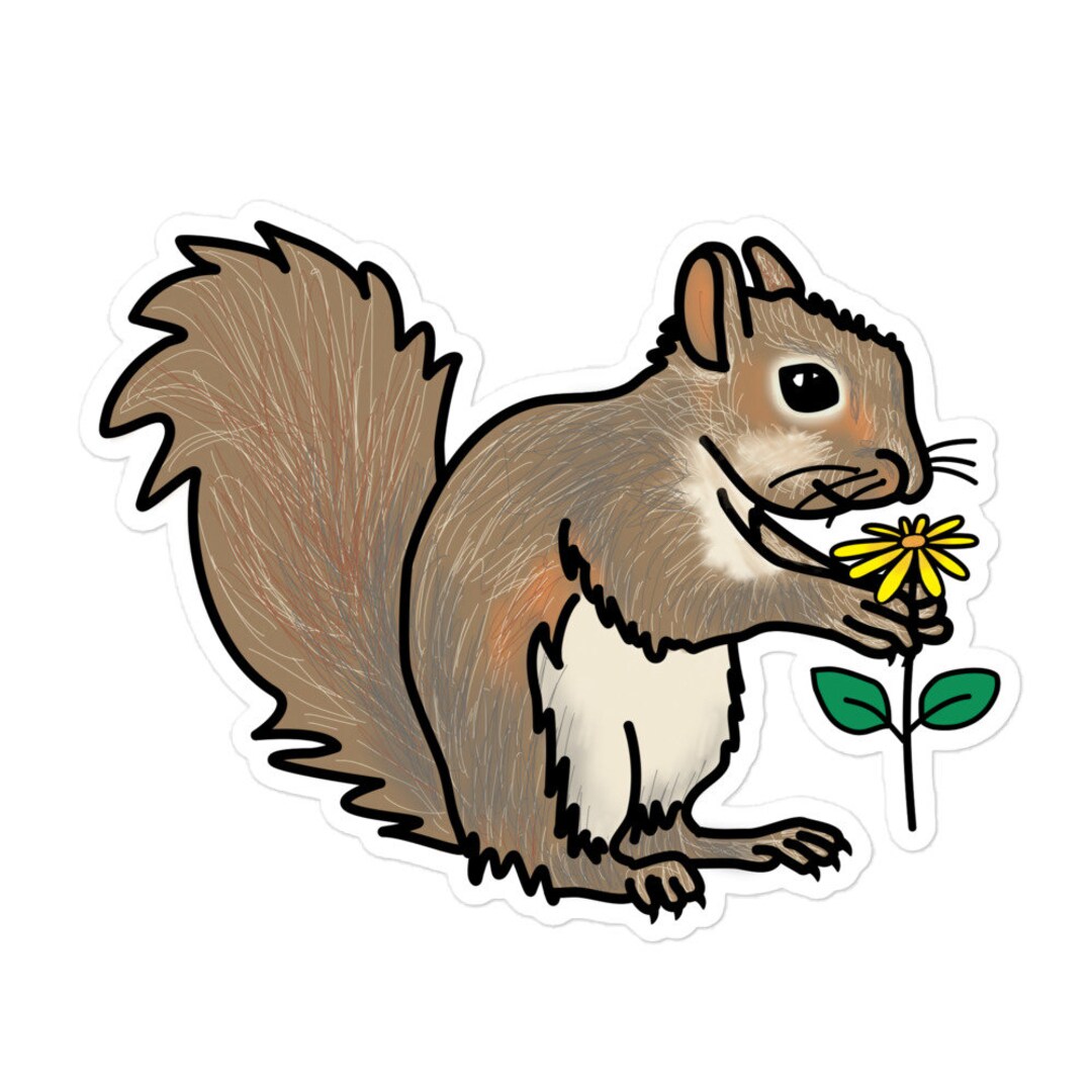 Squirrel Vinyl Stickers - Etsy