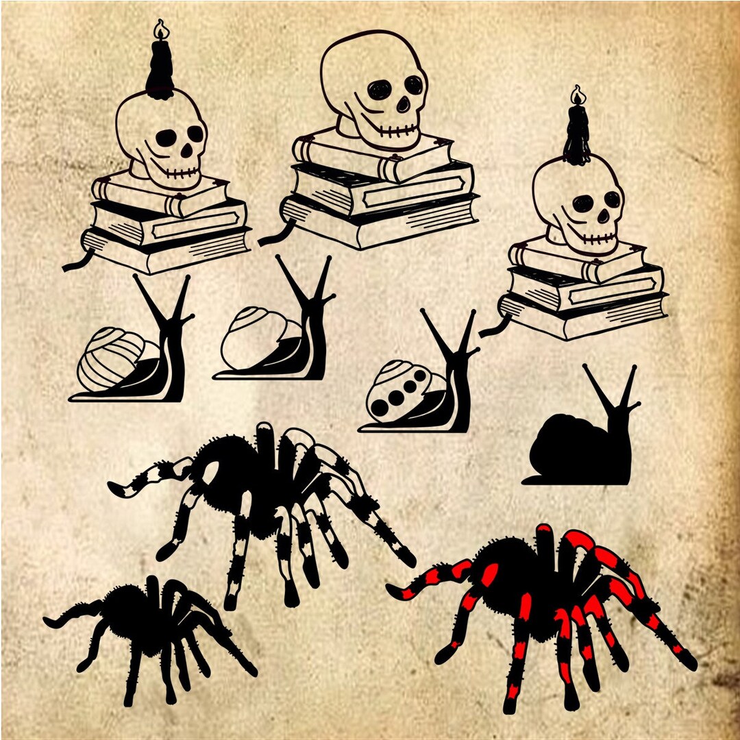 Tarantula, Snails, and Skull With Spell Books, SVG and Clipart - Etsy