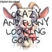 Funny Goat Clipart Bundle | Set of 30 High Quality Illustrations ...