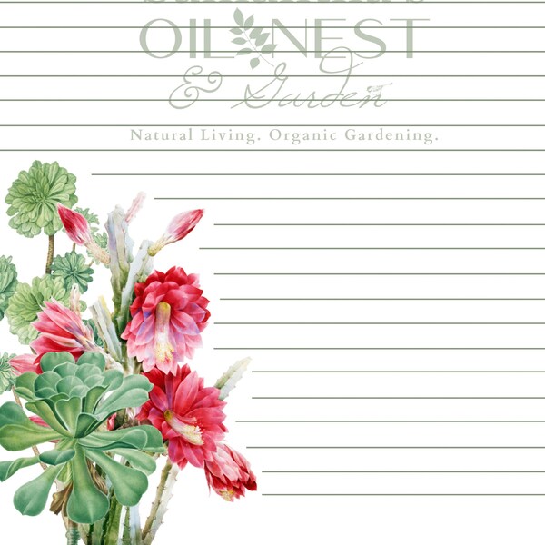 Succulent Letter - Etsy