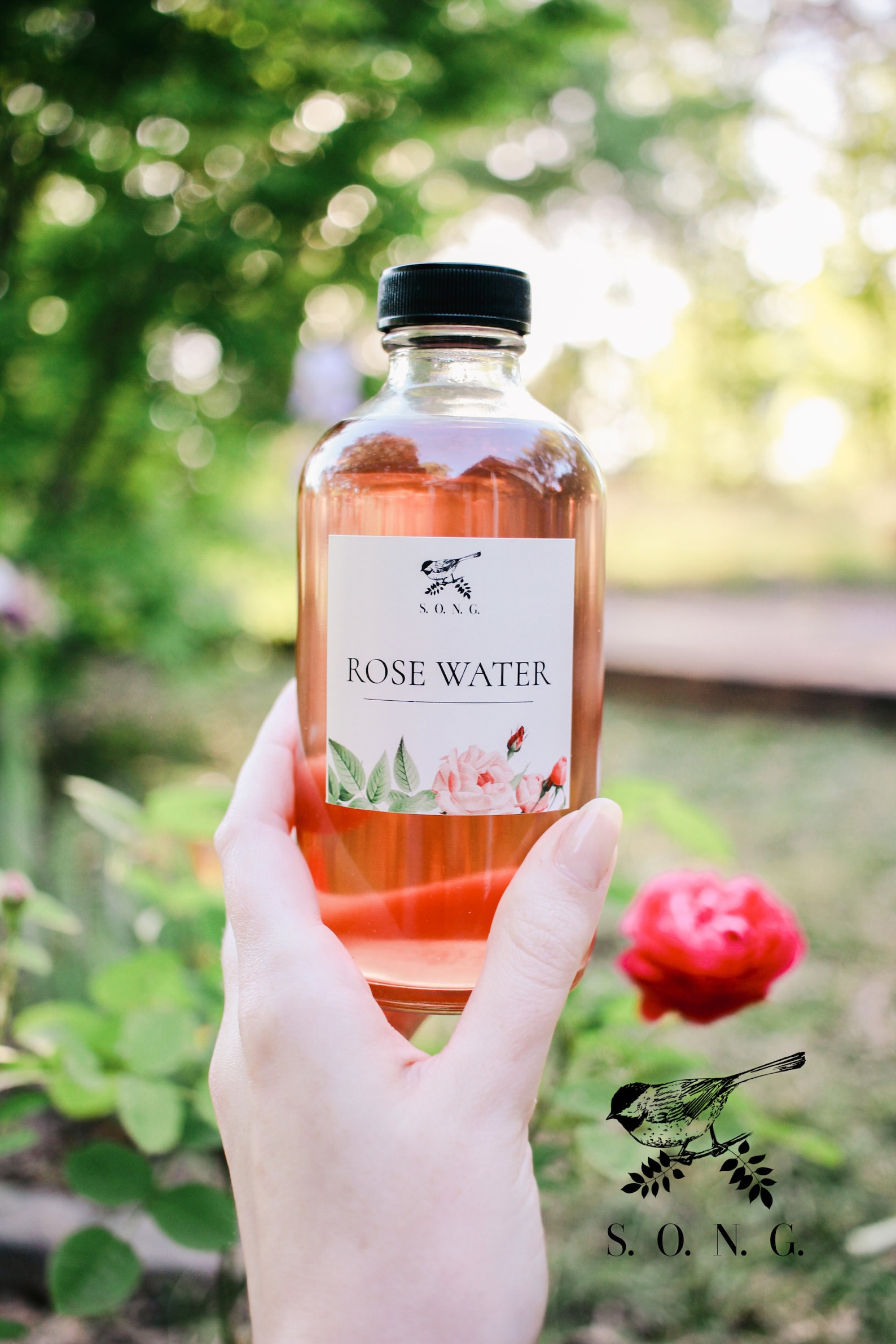 Printable Product Label, Instant Download Botanical Vintage Antique ...