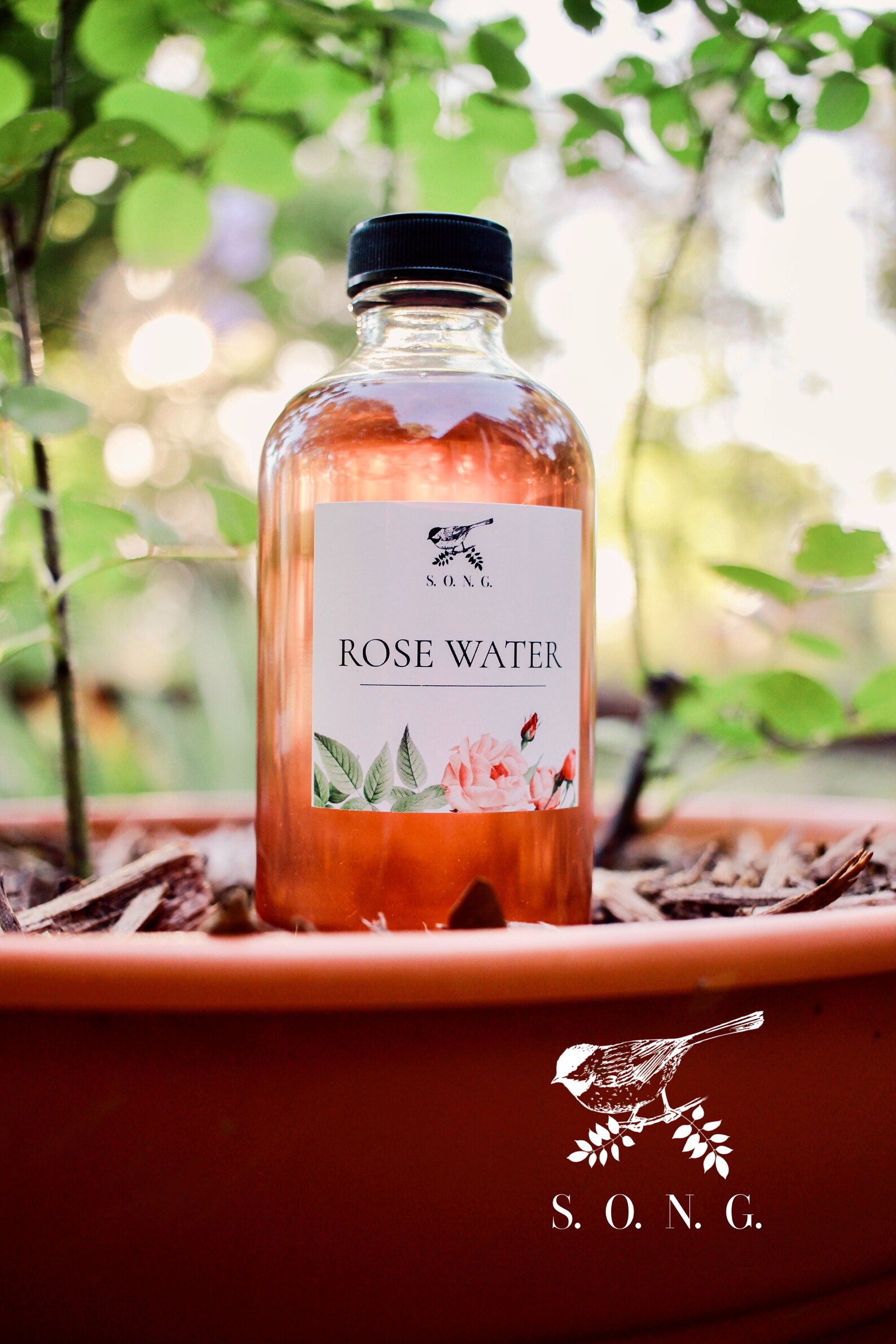 Printable Product Label, Instant Download Botanical Vintage Antique ...