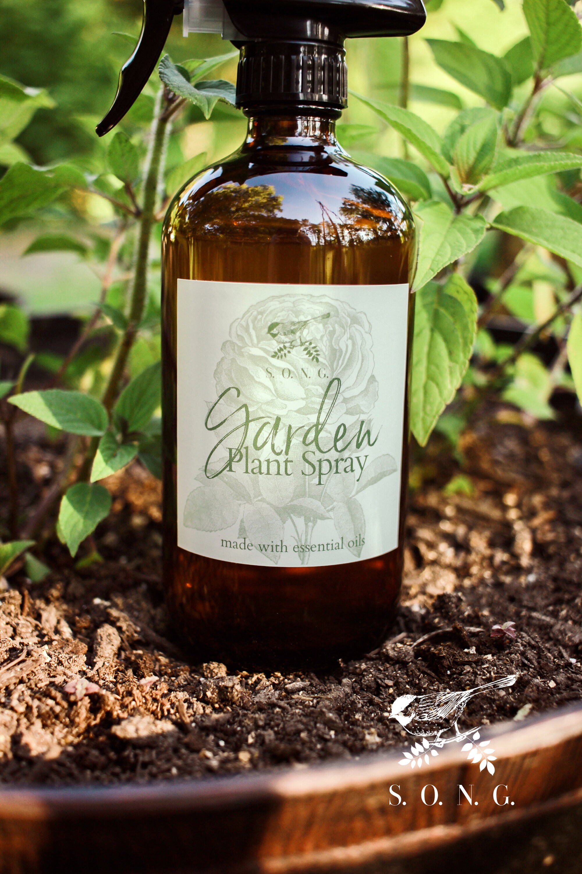 Printable Product Label, Instant Download Vintage Antique Garden Plant ...