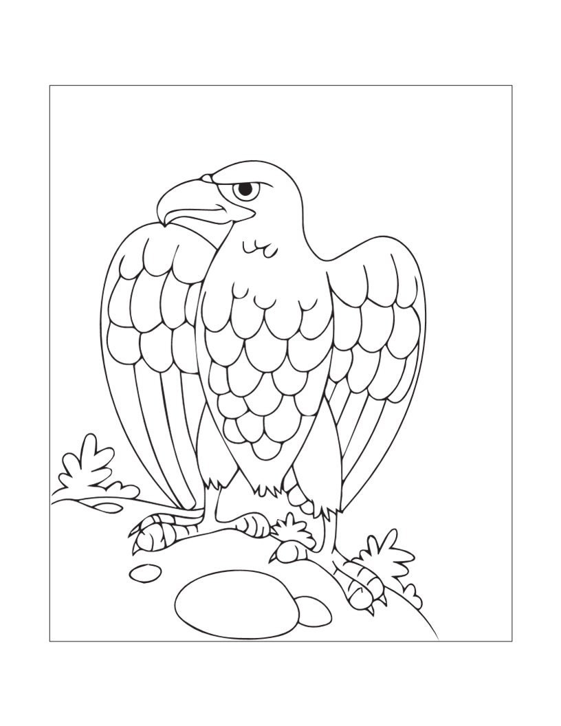 Digital Bird Coloring (20 Pictures) - Etsy