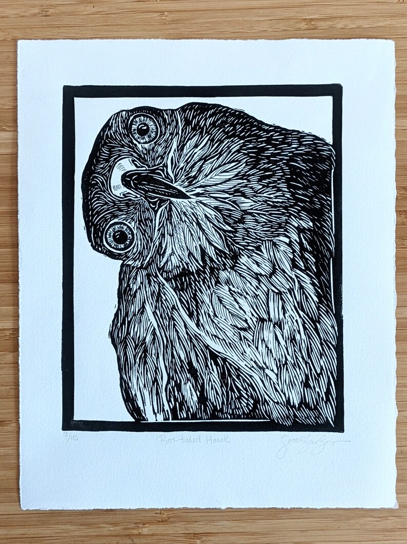 Red-tailed Hawk Print - Etsy