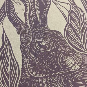 Riparian Brush Rabbit Print - Etsy