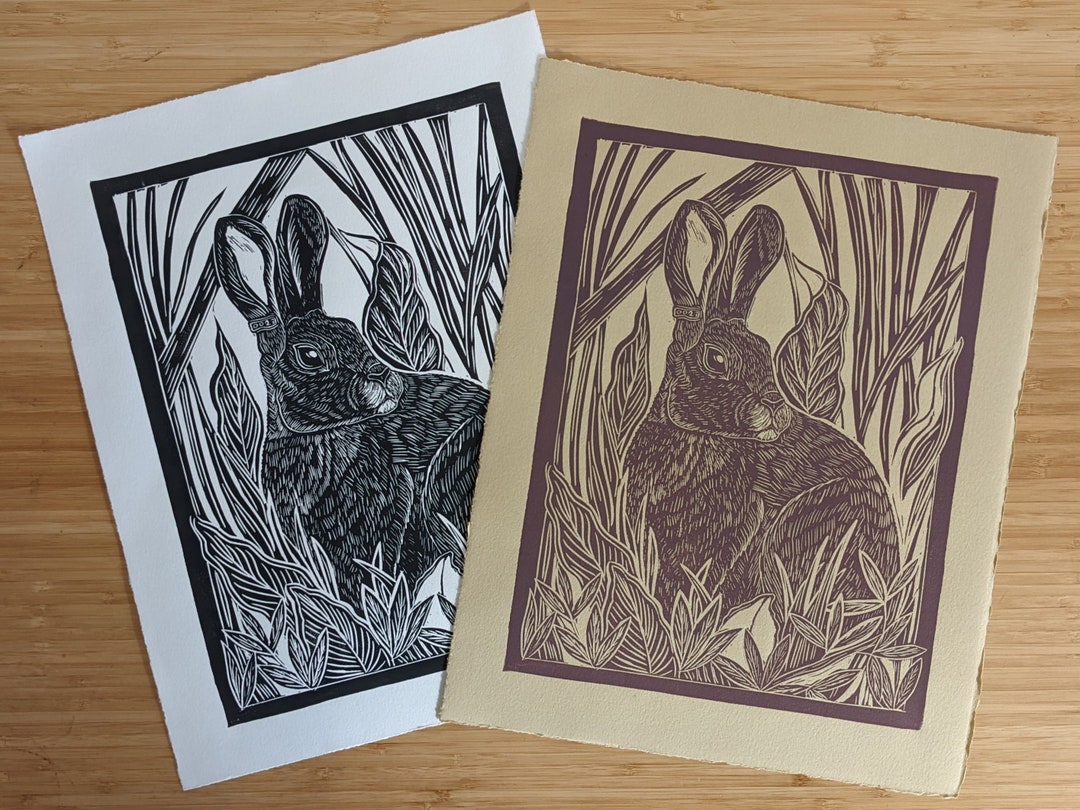Riparian Brush Rabbit Print - Etsy