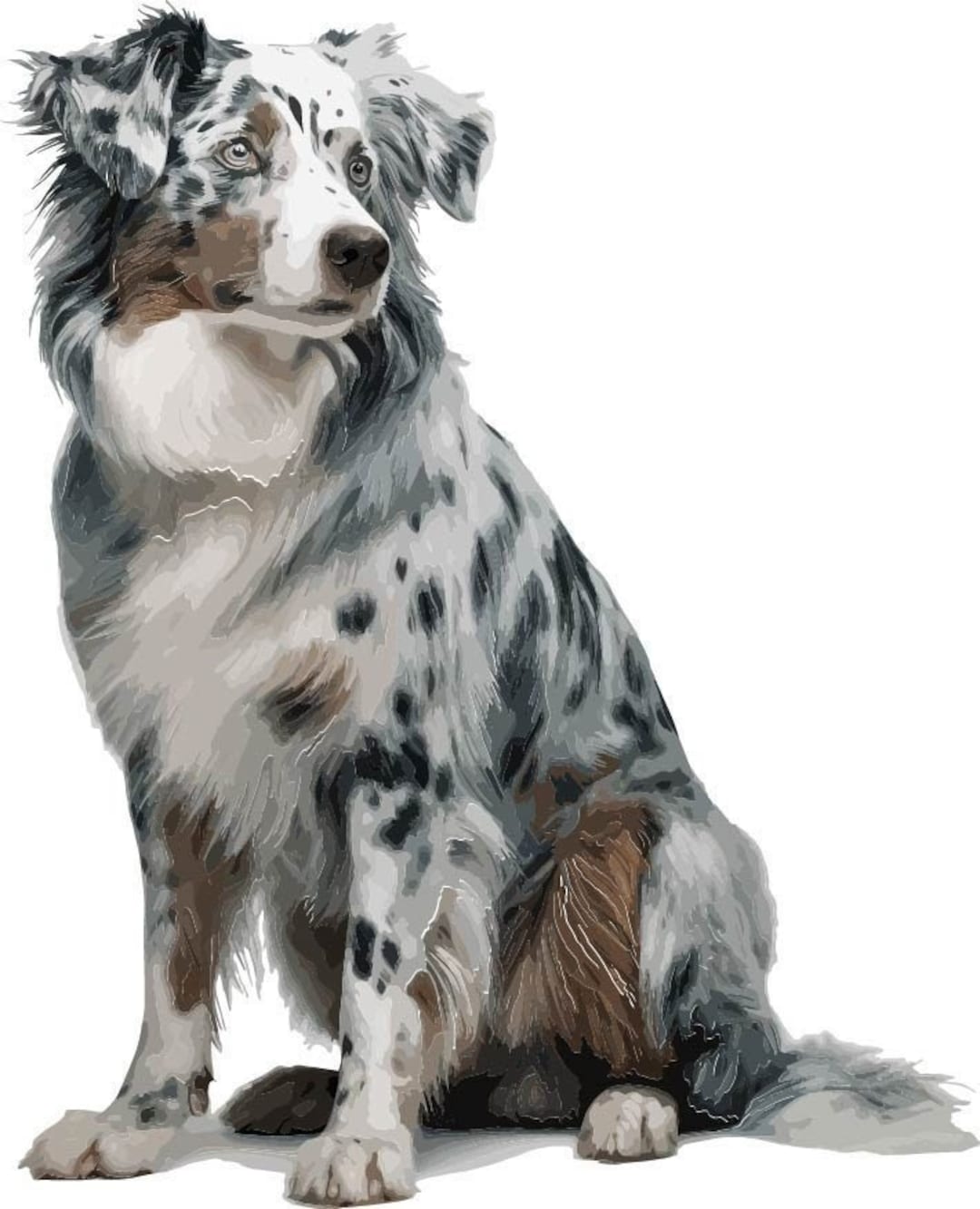 Mini Aussie Vector Art - Australian Shepherd Dog Illustration - Digital ...