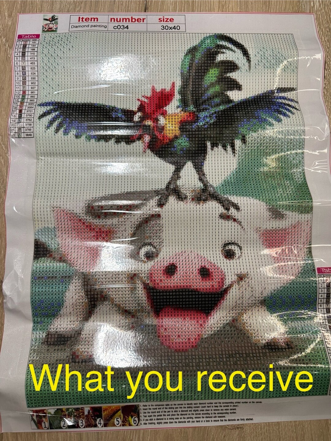 5D DIY Hei Hei and Pua From Moana Diamond Painting - Etsy