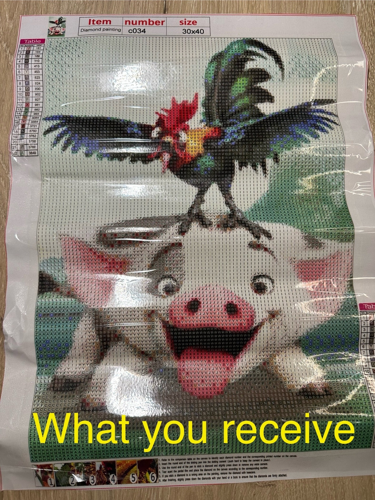 5D DIY Hei Hei and Pua From Moana Diamond Painting - Etsy