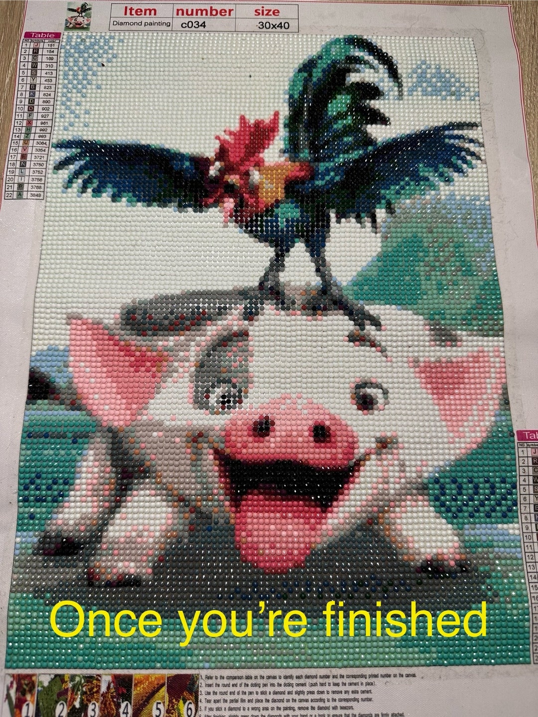 5D DIY Hei Hei and Pua From Moana Diamond Painting - Etsy