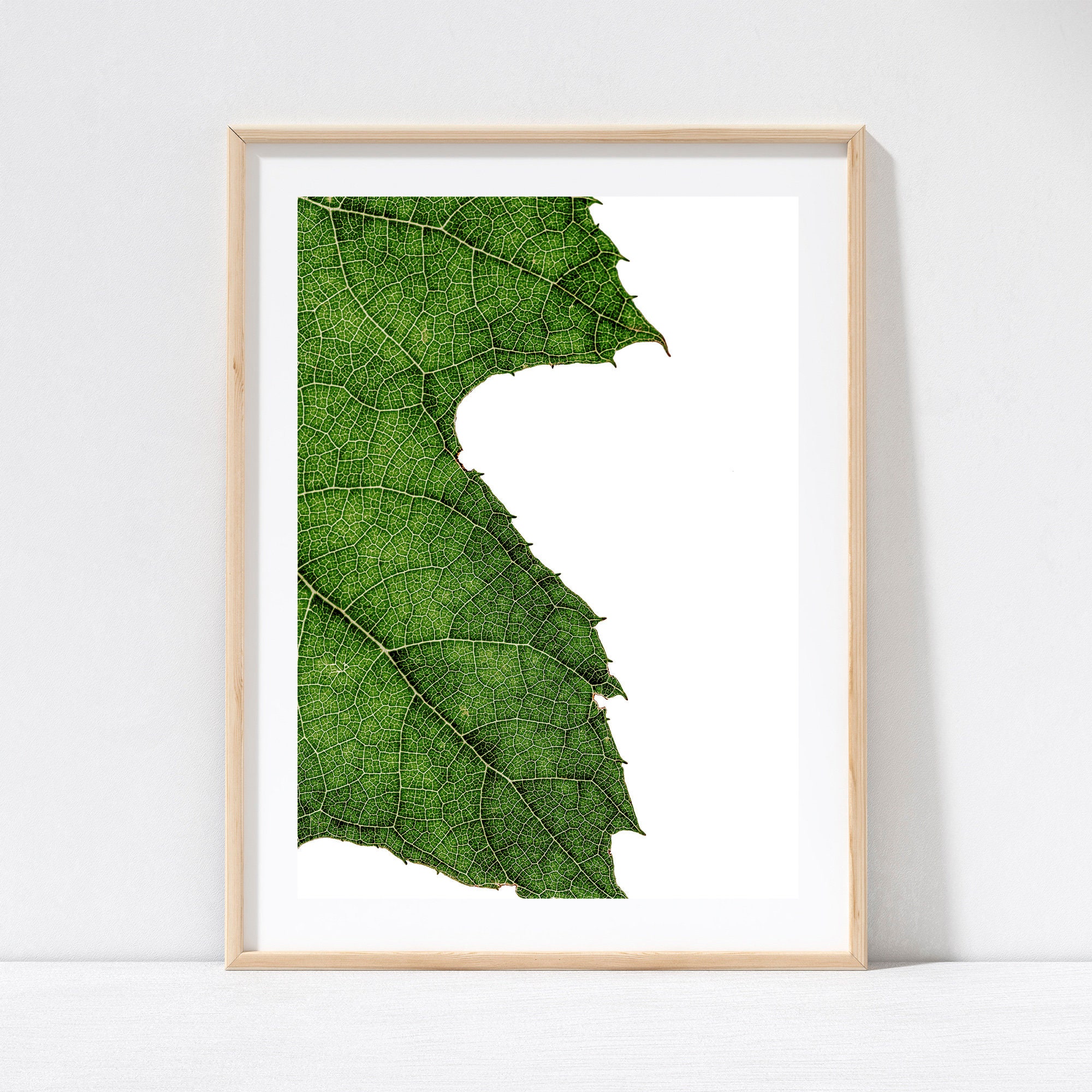 Prints Botanical Printable Wall Art Boho Green Leaf Poster Instant ...