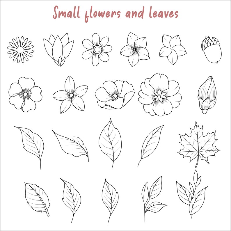 Hand Drawn Flower Sets, Individual Flowers, Leaves, Stalks and Wreaths ...