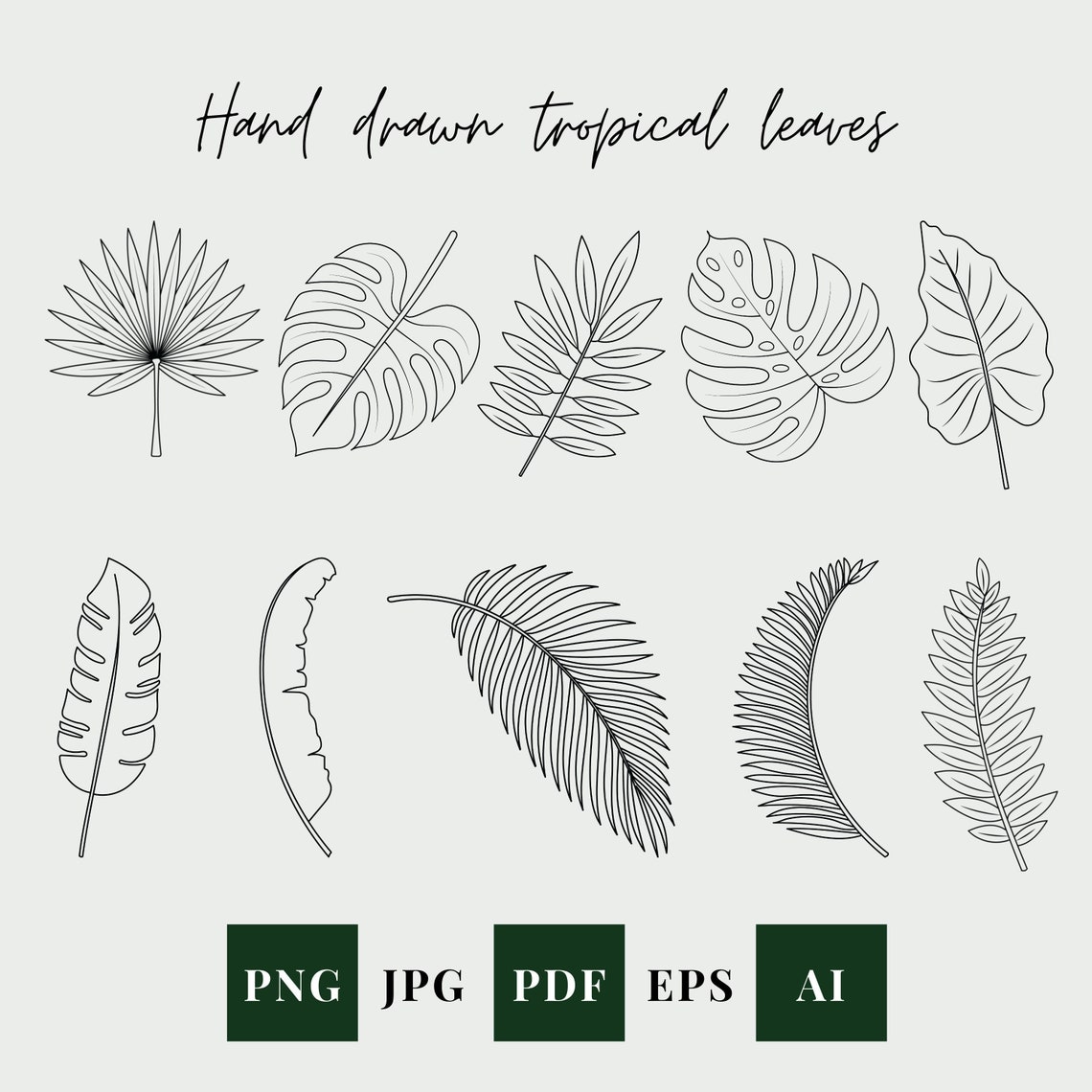 Hand Drawn Tropical Leaves, Tropical Leaves Clipart, Line Art, Set of 6 ...