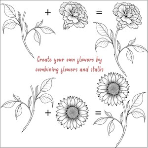 Hand Drawn Flower Sets, Individual Flowers, Leaves, Stalks and Wreaths ...