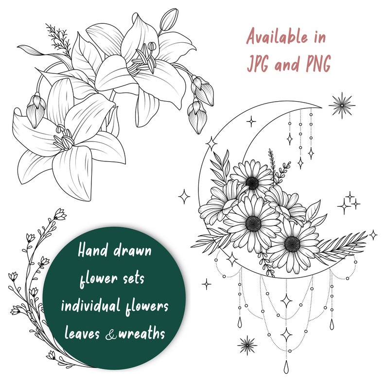 Hand Drawn Flower Sets, Individual Flowers, Leaves, Stalks and Wreaths ...