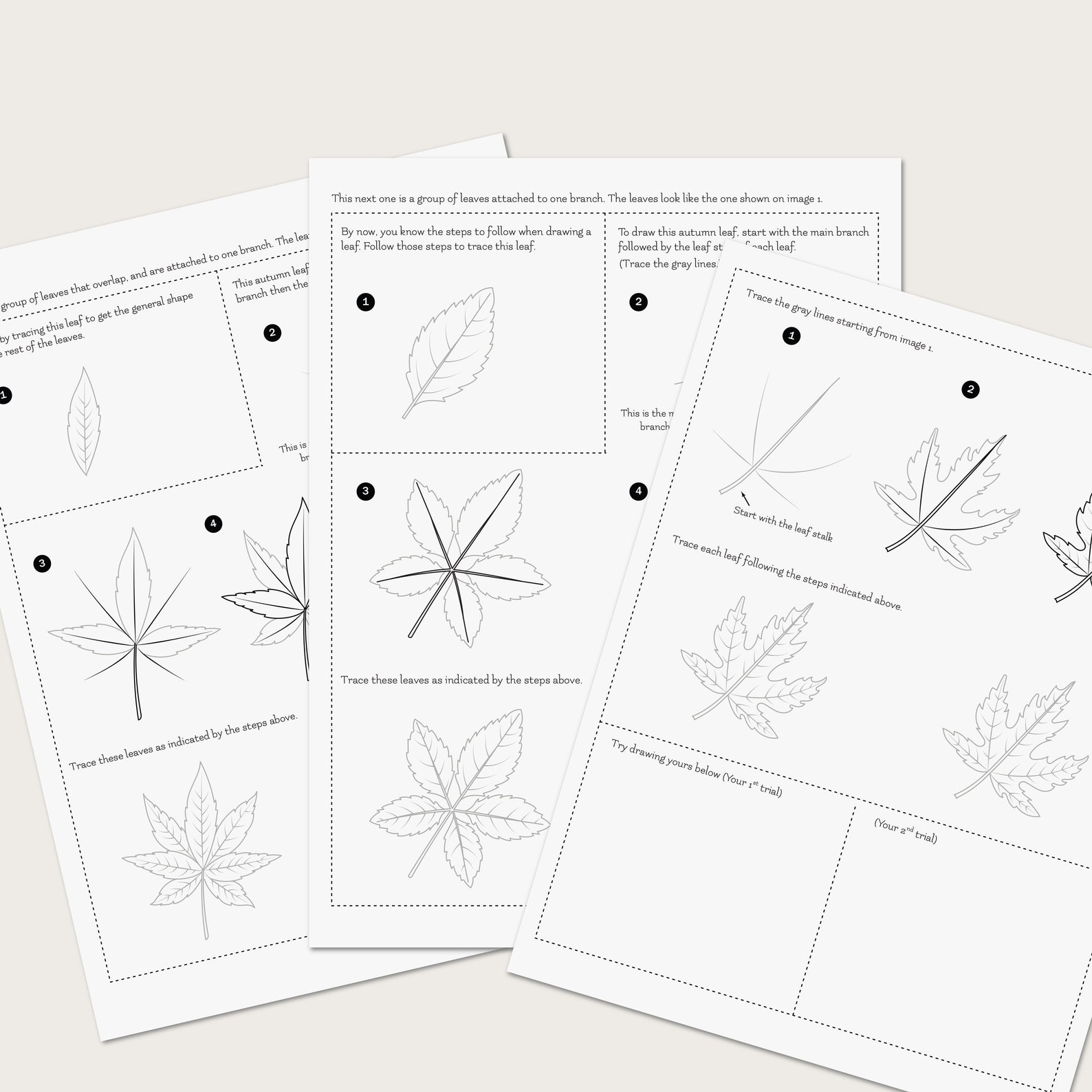 How to Draw Fall Doodles, A Step by Step Guide on How to Draw Autumn ...