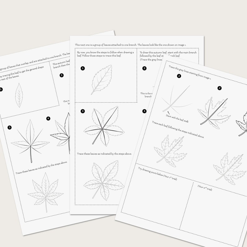 How to Draw Fall Doodles, A Step by Step Guide on How to Draw Autumn ...