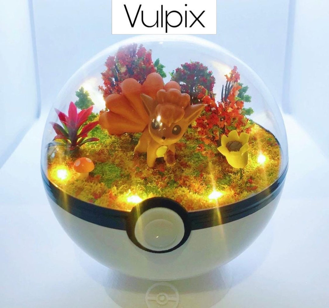 Handmade Vulpix Terrarium Diorama Pokeball Planter Proposal Terrainium ...