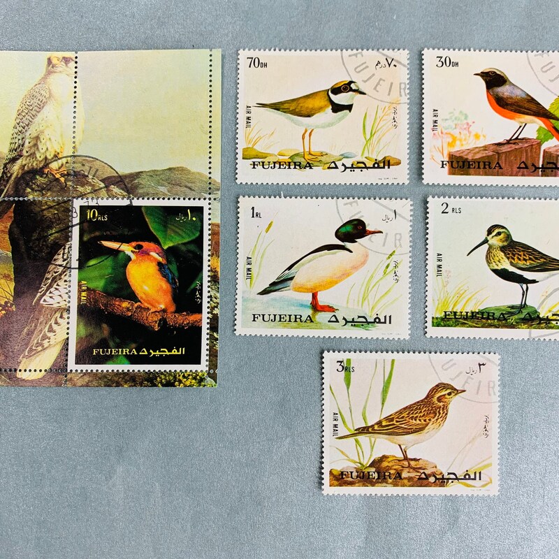 Vintage Bird Stamps - Etsy