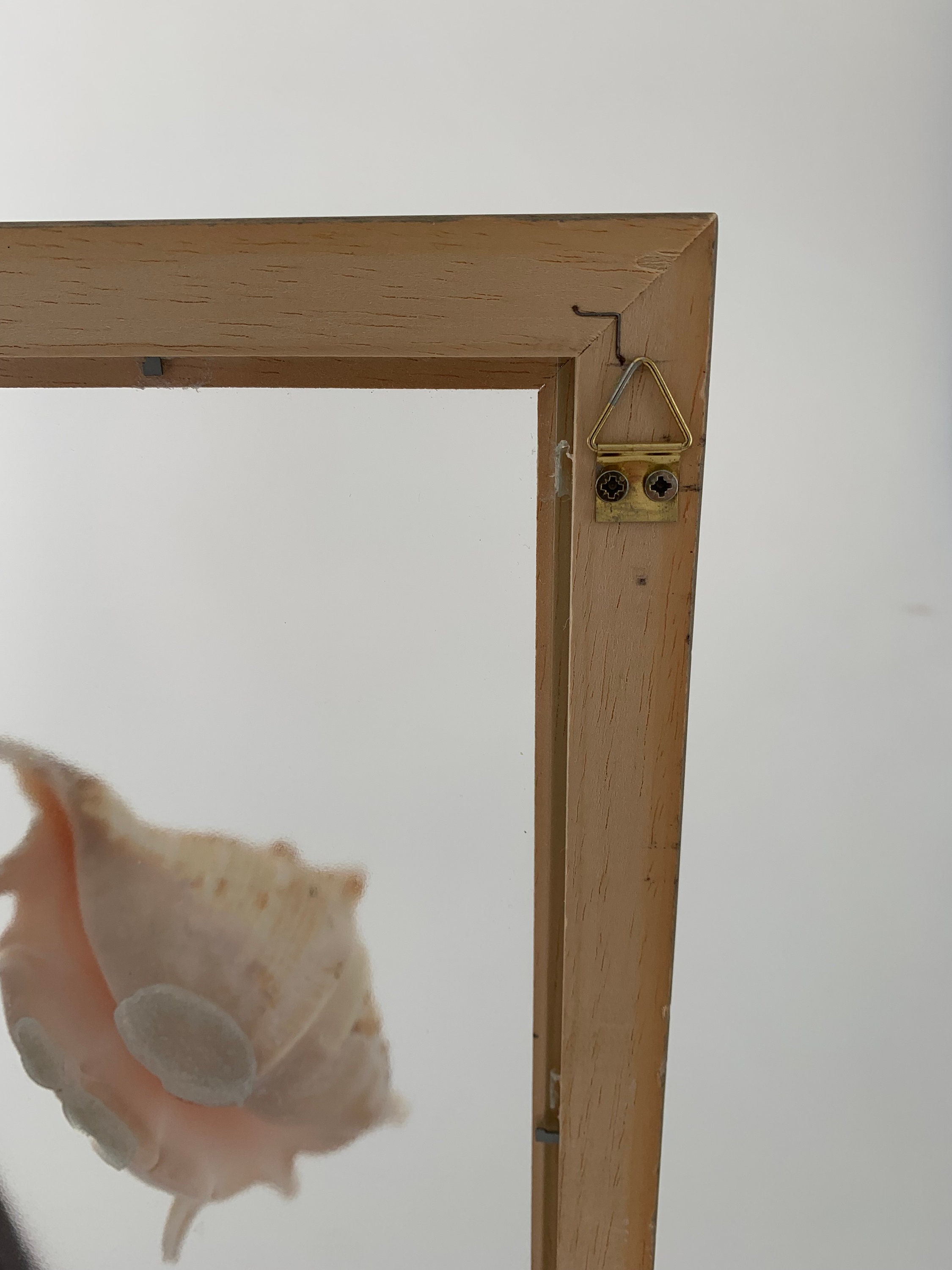 Sea Shell Wall Art Framed Seashells Sea Shell Wall Frame Sea Shell Wall ...